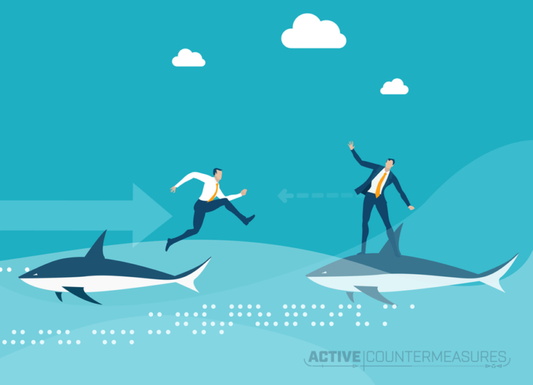 Counting Connections With Tshark Active Countermeasures